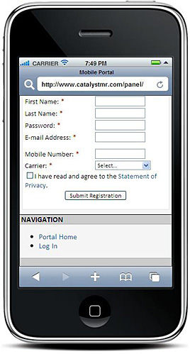CatalystMR - online survey programming, panel, data processing